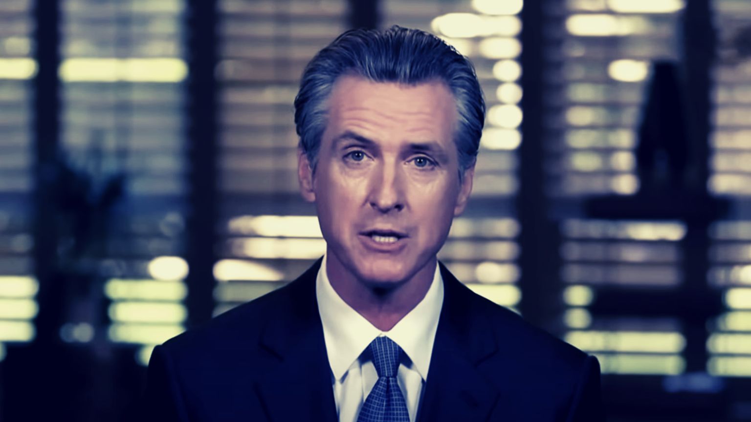 newsom – The Constitution Study